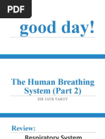Bell Jar Model of Breathing Mechanics | PDF | Breathing | Lung