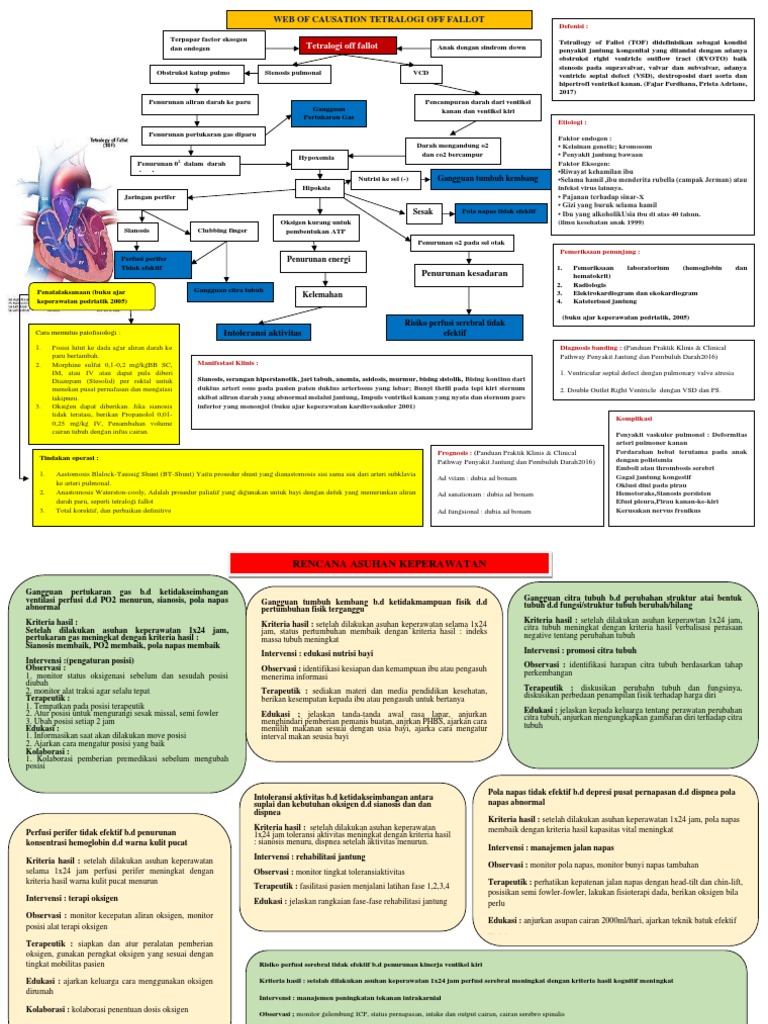 Woc TOF | PDF