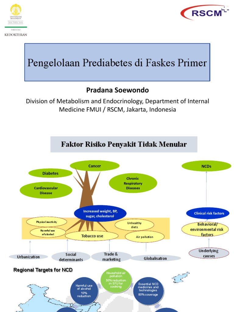 Pengelolaan Prediabetes Di Faskes Primer: Pradana Soewondo | PDF ...