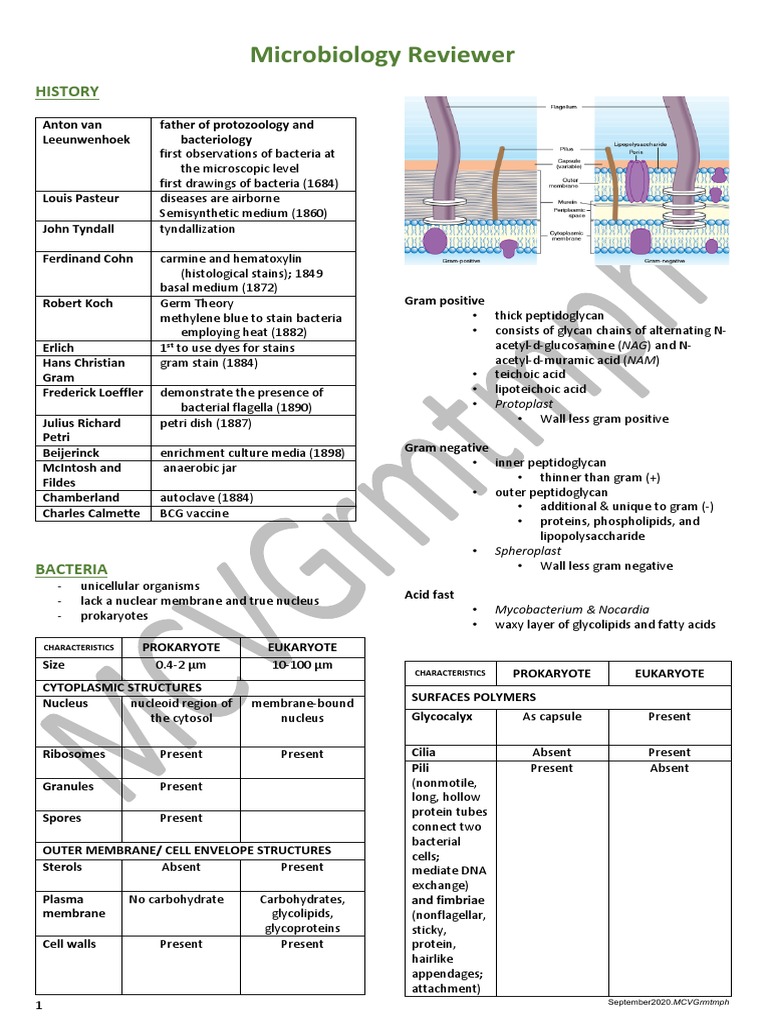 Microbiology Reviewer: History | PDF | Growth Medium | Staining