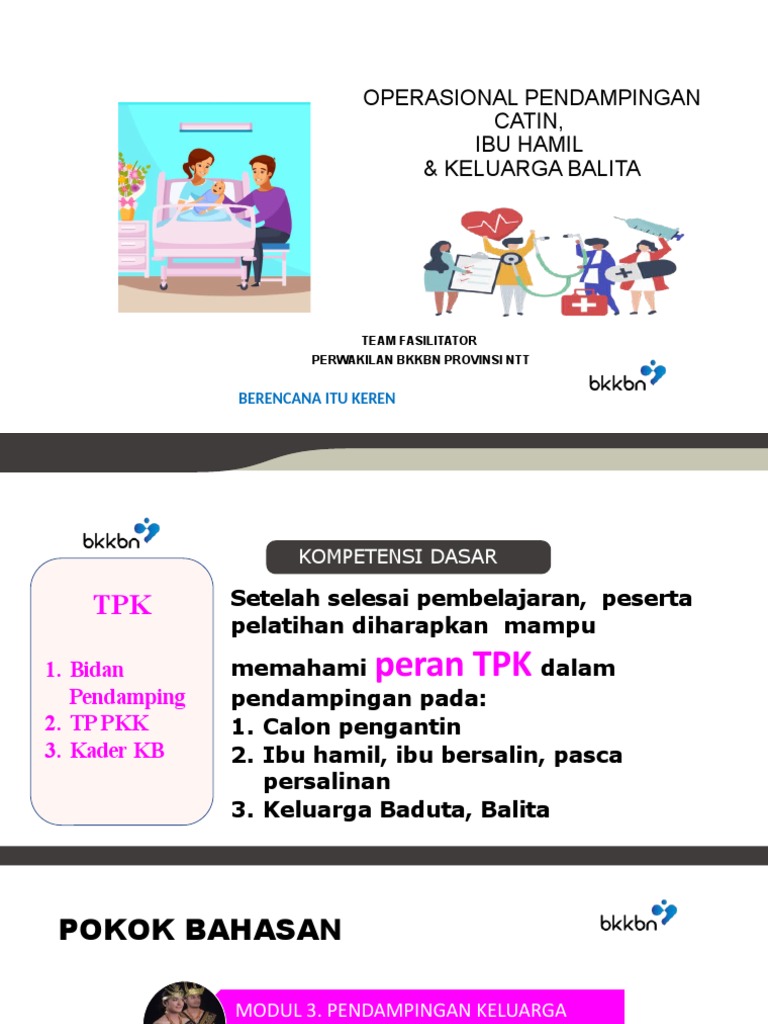 Pendampingan Catin & Ibu Hamil NTT | PDF