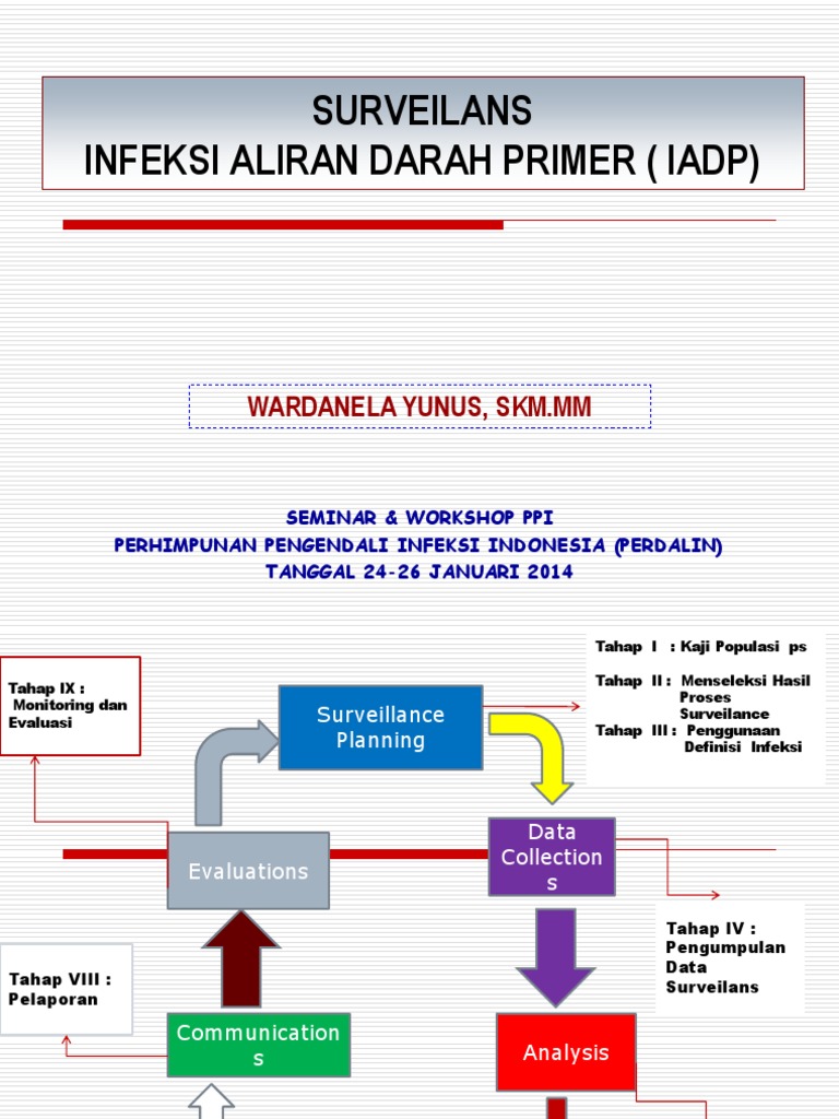 Surveilans Infeksi Aliran Darah Primer (Iadp) | PDF