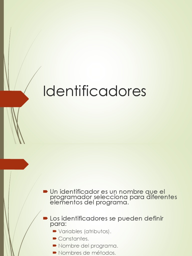Concepto y uso de identificadores en programación | PDF