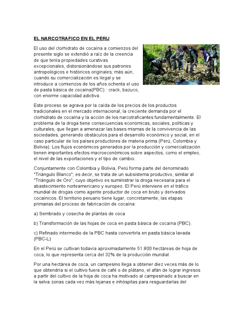 El Narcotrafico En El Peru Pdf Comercio Ilegal De Drogas Cocaína