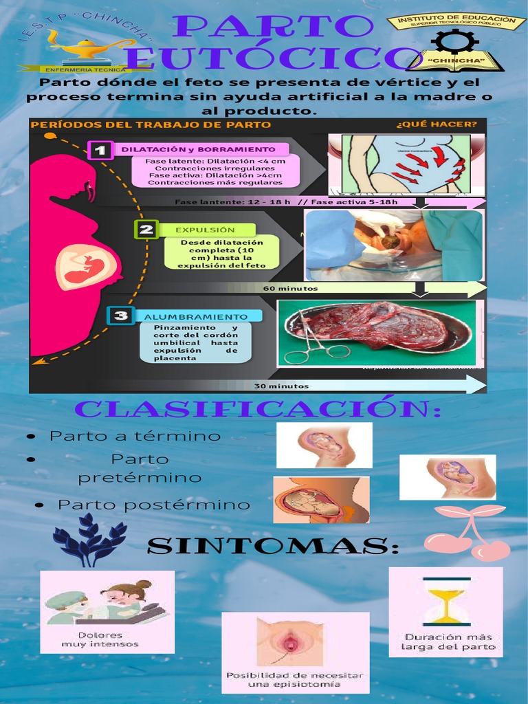 Parto Eutócico y Distócico | PDF