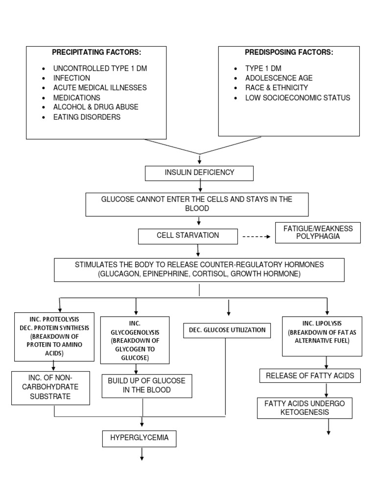 Pathophysiology Schematic Diagram Dka | PDF | Endocrine System | Insulin