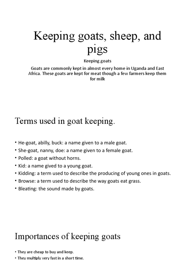 Goat Keeping in Uganda: A Guide | PDF | Sheep | Goat
