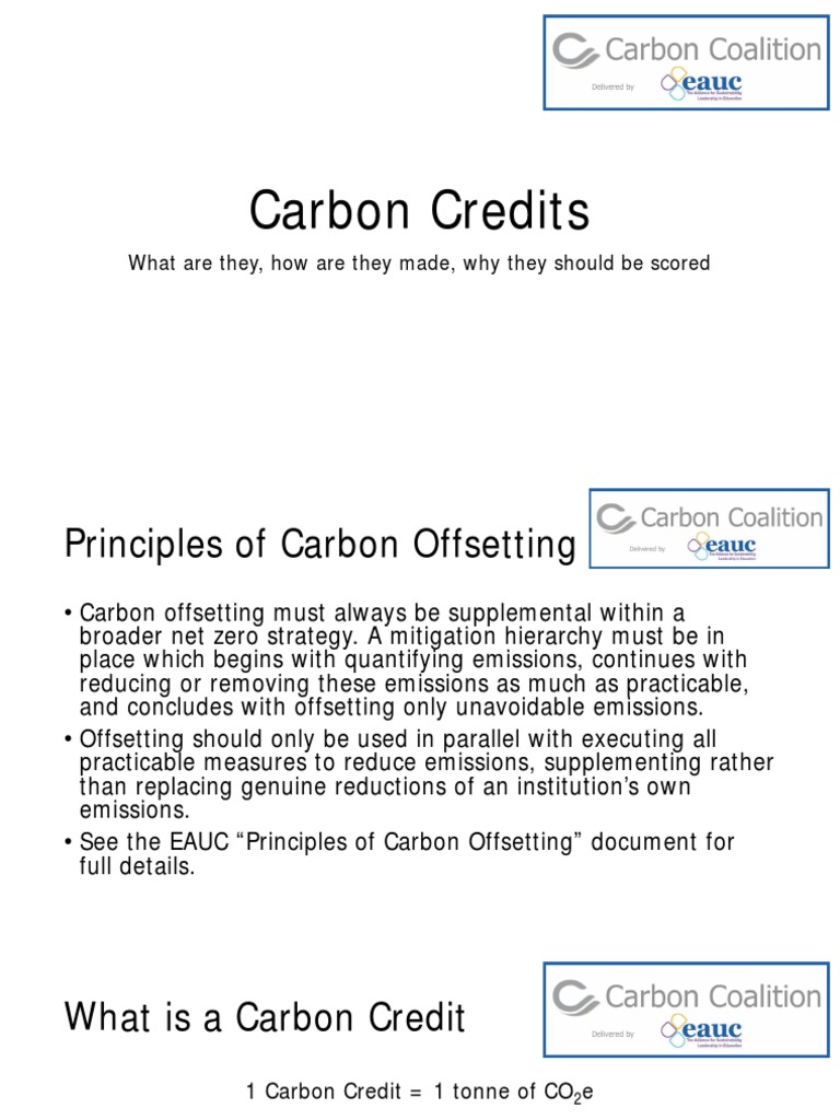 Understanding Carbon Credits and Scoring | PDF | Carbon Offset ...