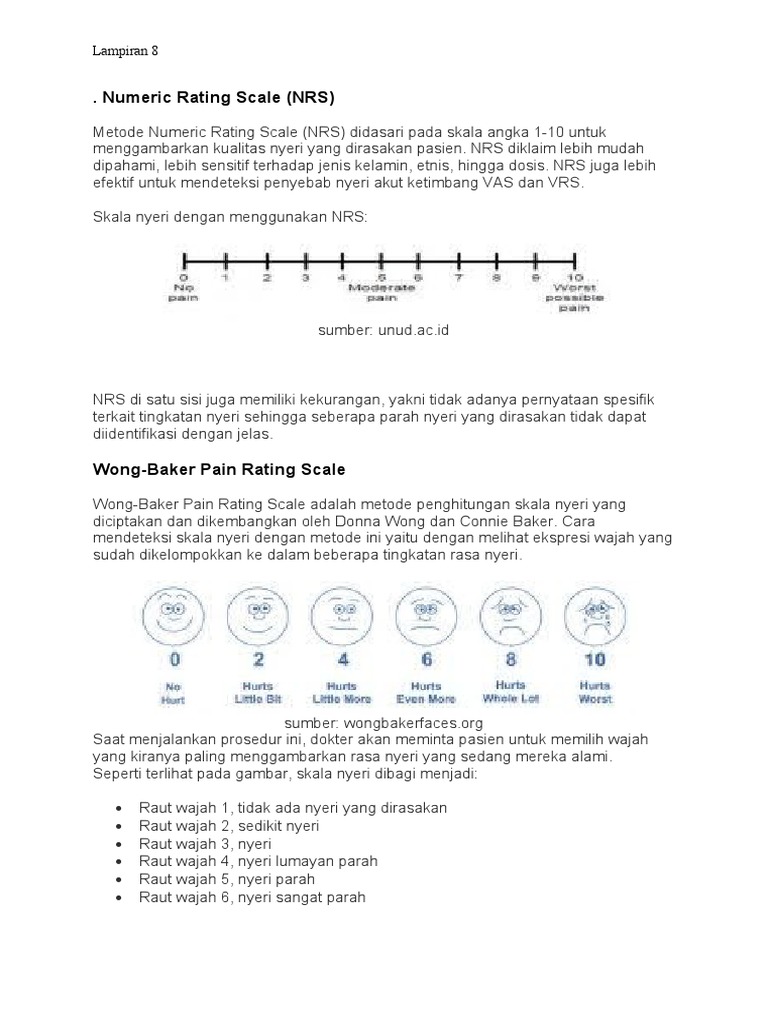 Numeric Rating Scale | PDF