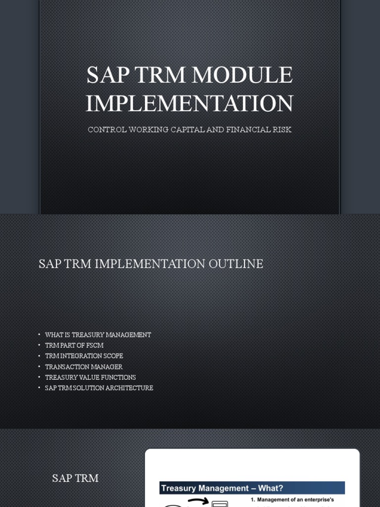 Sap TRM Module Implementation: Control Working Capital and Financial ...