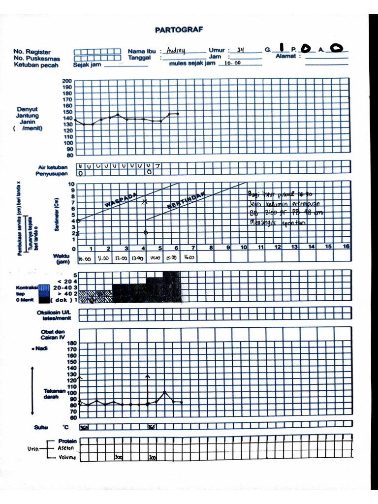 Patograf | PDF