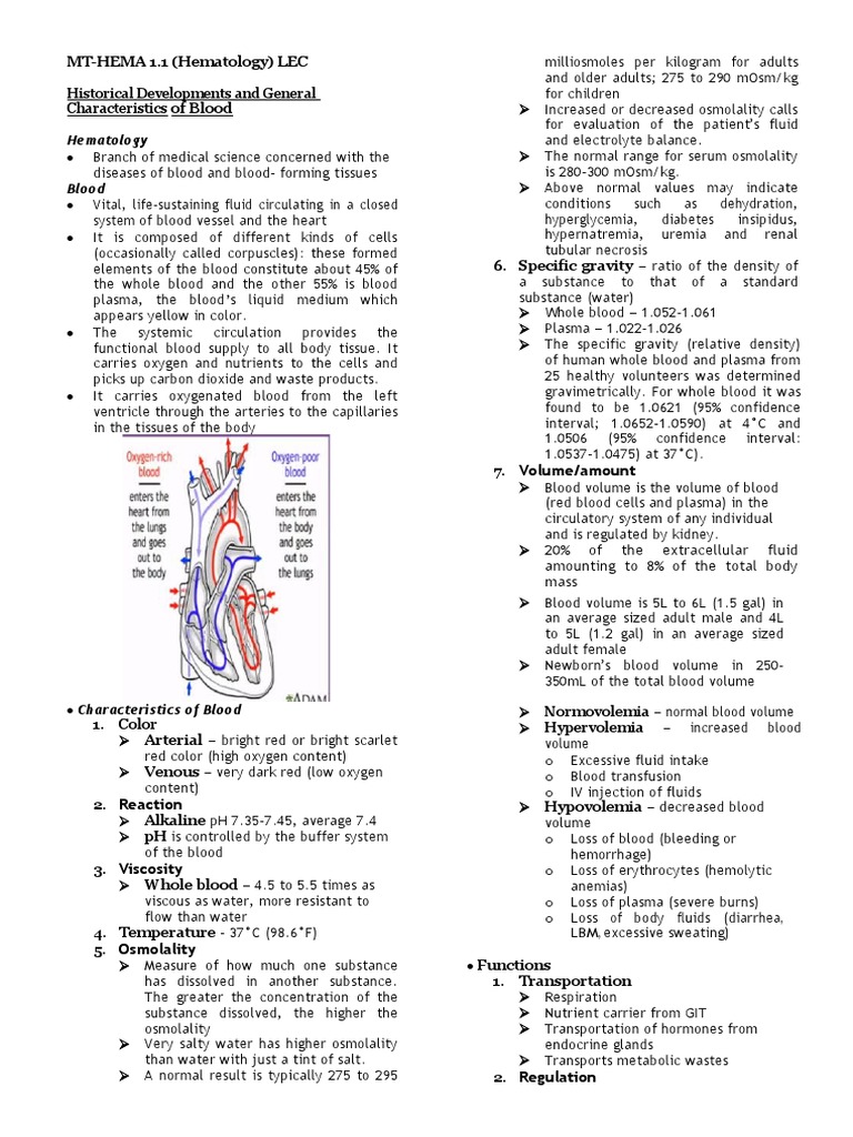 1 Hema Lec | PDF | Anemia | Red Blood Cell