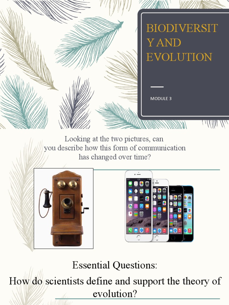 Biodiversity and Evolution | PDF | Fossil | Evolution