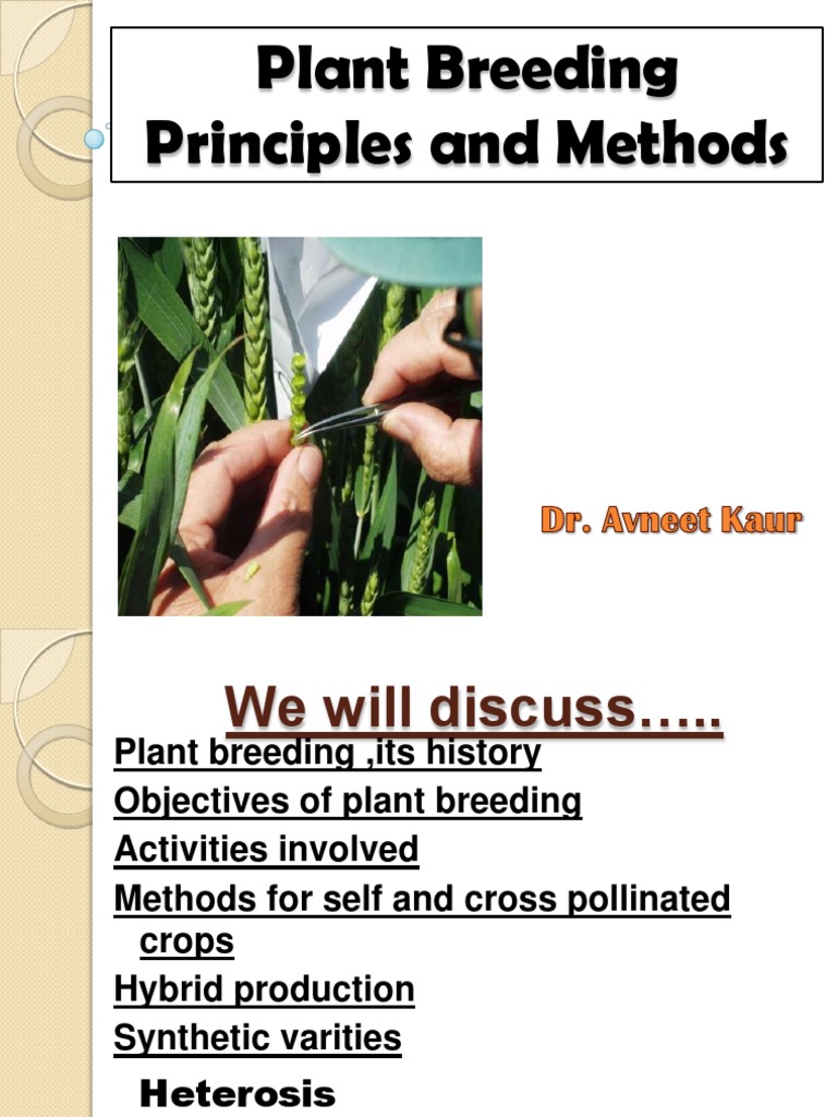 Plant Breeding Principles and Methods | PDF | Plant Breeding | Natural ...