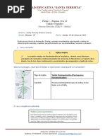 Clase#2 Dotación Cromosomica. | PDF | Cromosoma | Biología Celular)