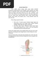 Anatomi Ekstremitas Bawah Manusia | PDF | Ilmu Sosial | Kesehatan Holistik