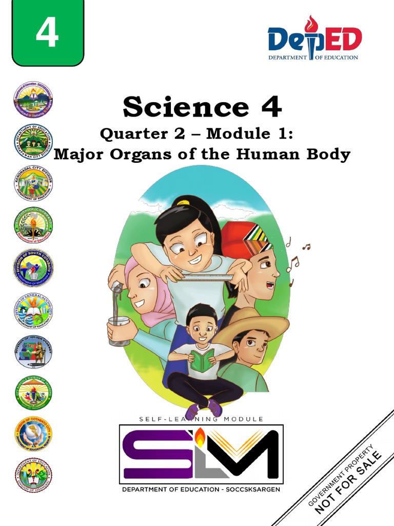 Science 4 Module 1 Q2 | PDF | Digestion | Human Body