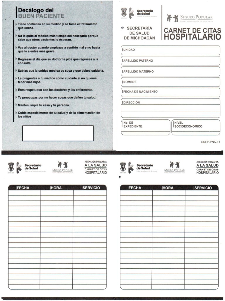 Formato Carnet de Citas | PDF