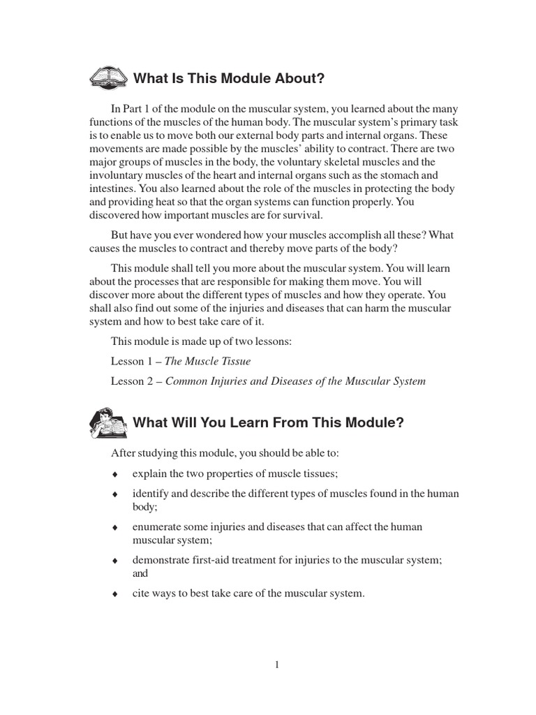 The Muscular System Part 2 | PDF | Muscle | Skeletal Muscle