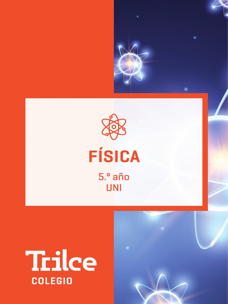 Física | PDF | Vector Euclidiano | Fuerza