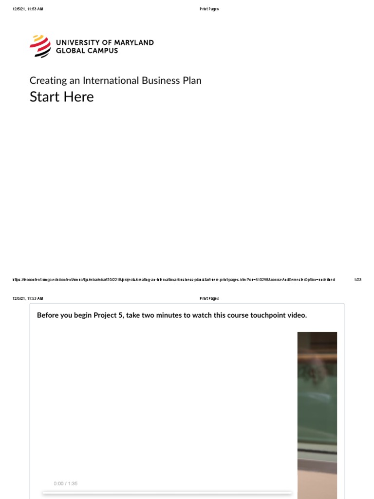 International Business Plan | Download Free PDF | Strategic Management ...