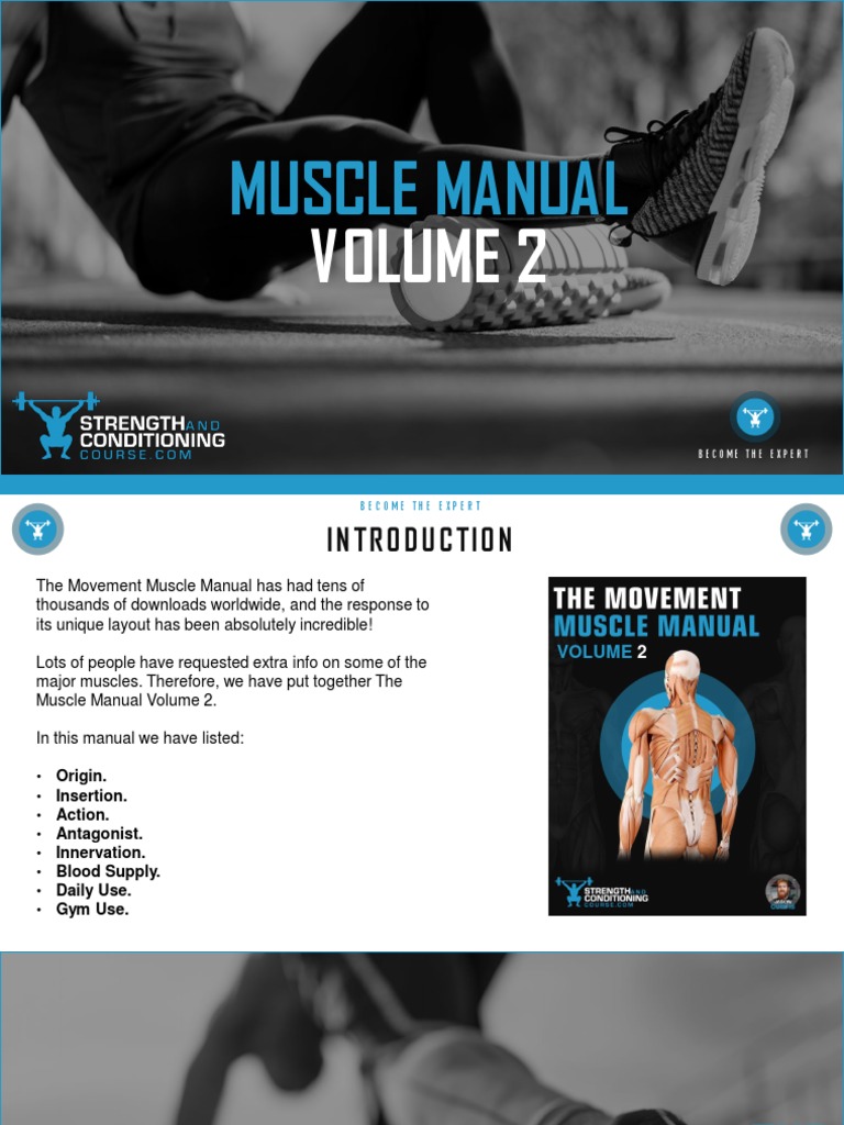 Muscle Manual Volume 2 Pdf