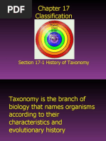 Taxonomy Foldable | PDF | Taxonomy (Biology) | Cell (Biology)