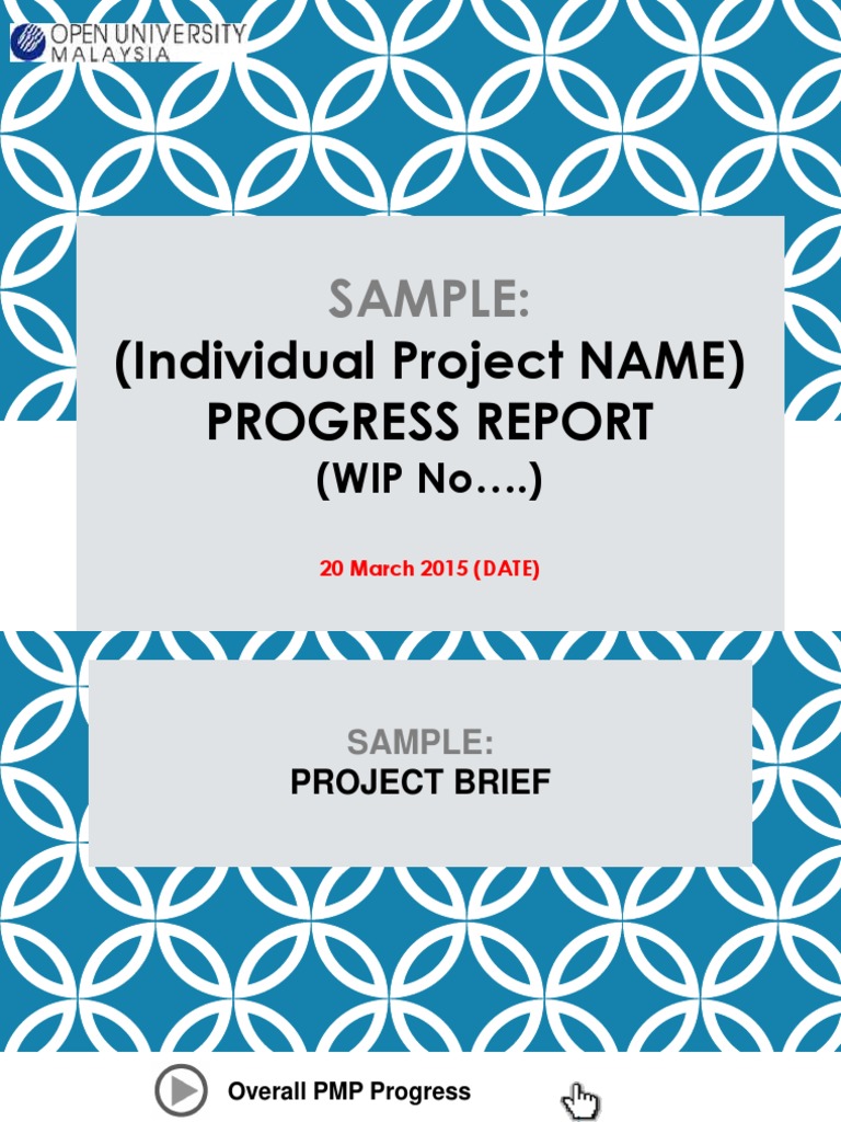 2 - Sample - Case Study (Individual Project (Name) Progress Report ...
