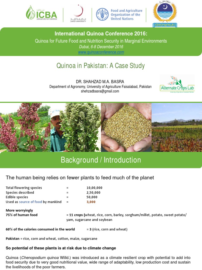 Shahzad Basra-Pakistan | PDF | Sowing | Maize