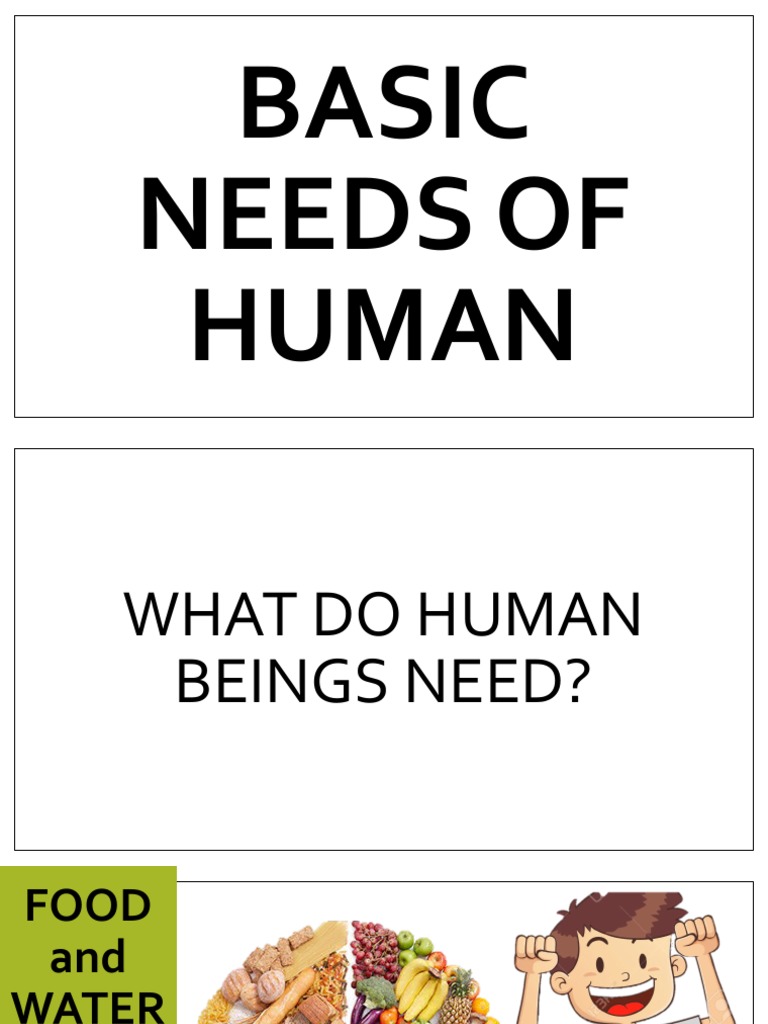 Basic Needs of Human | PDF