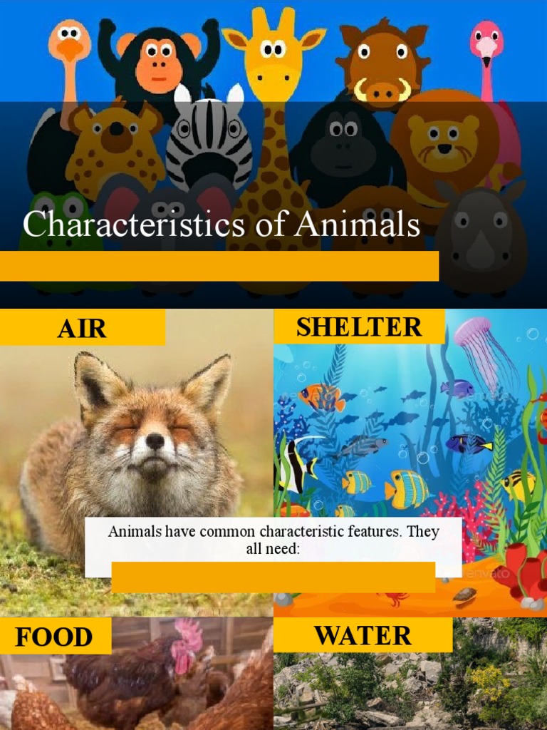 Characteristics of Animals | PDF