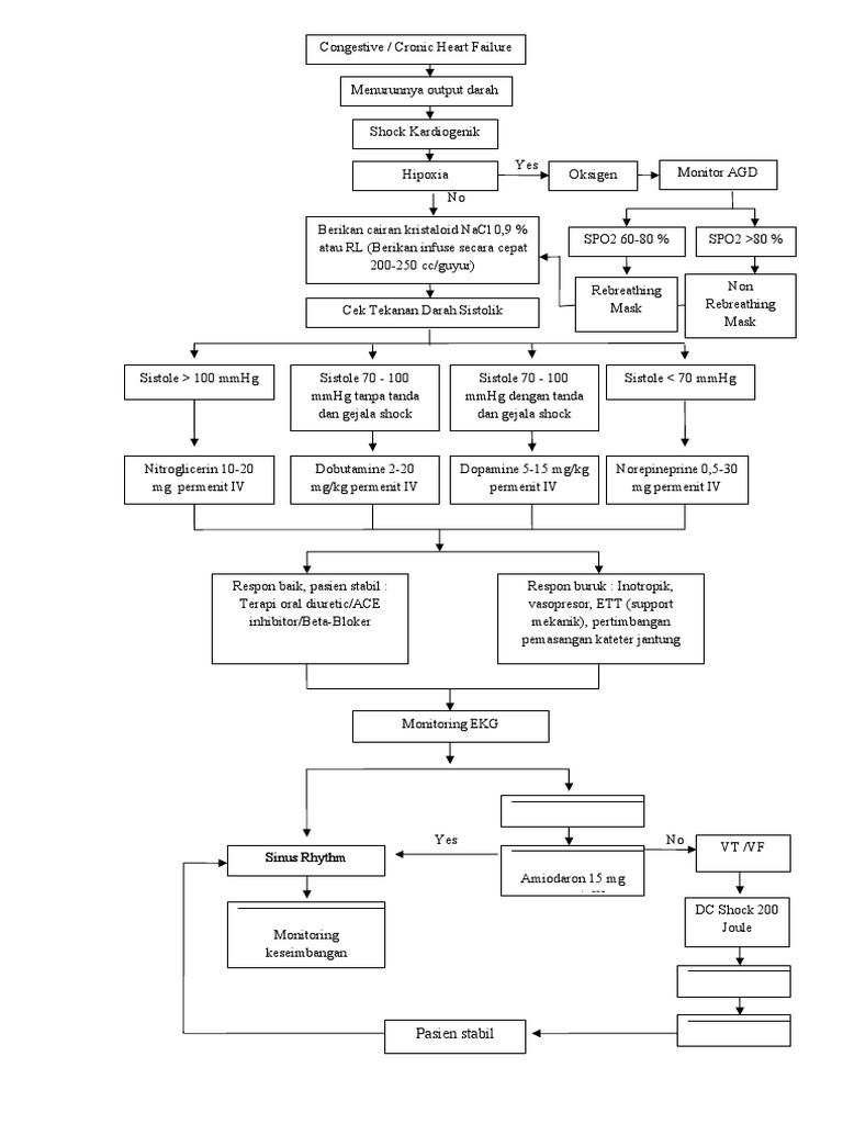 THERE - Algoritma CHF | PDF