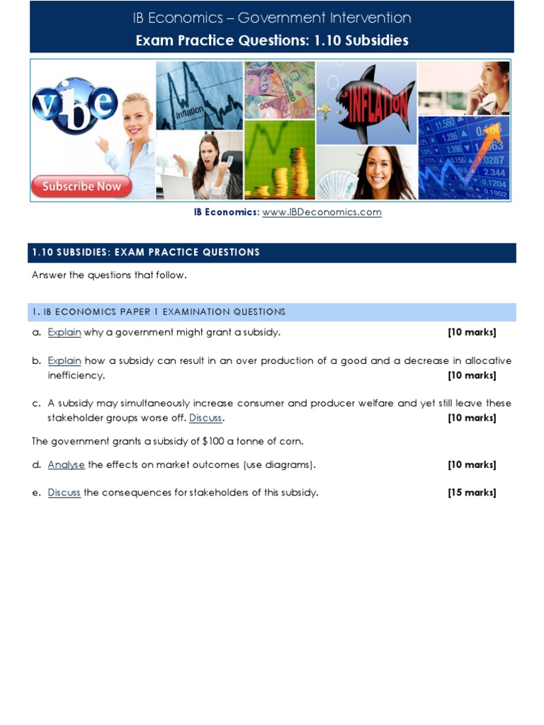IB Economics Subsidy Exam Questions | PDF | Subsidy | Economic Surplus