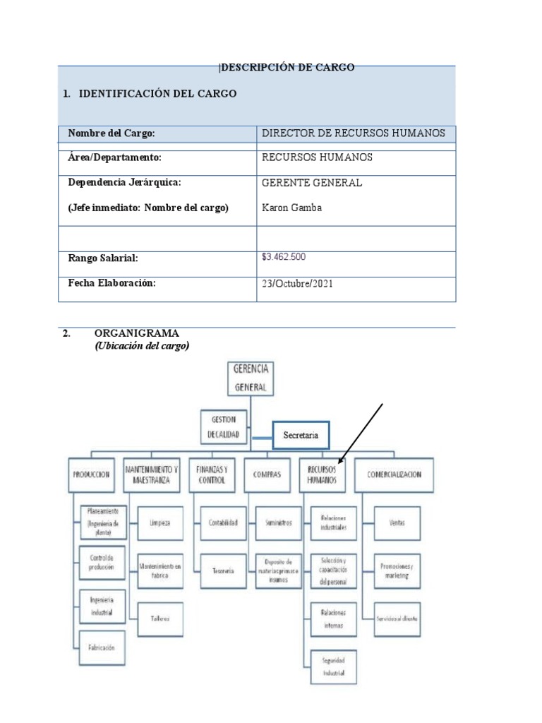 Formato Descripción de Cargos - Director RRHH | Descargar gratis PDF | Gestión de recursos ...