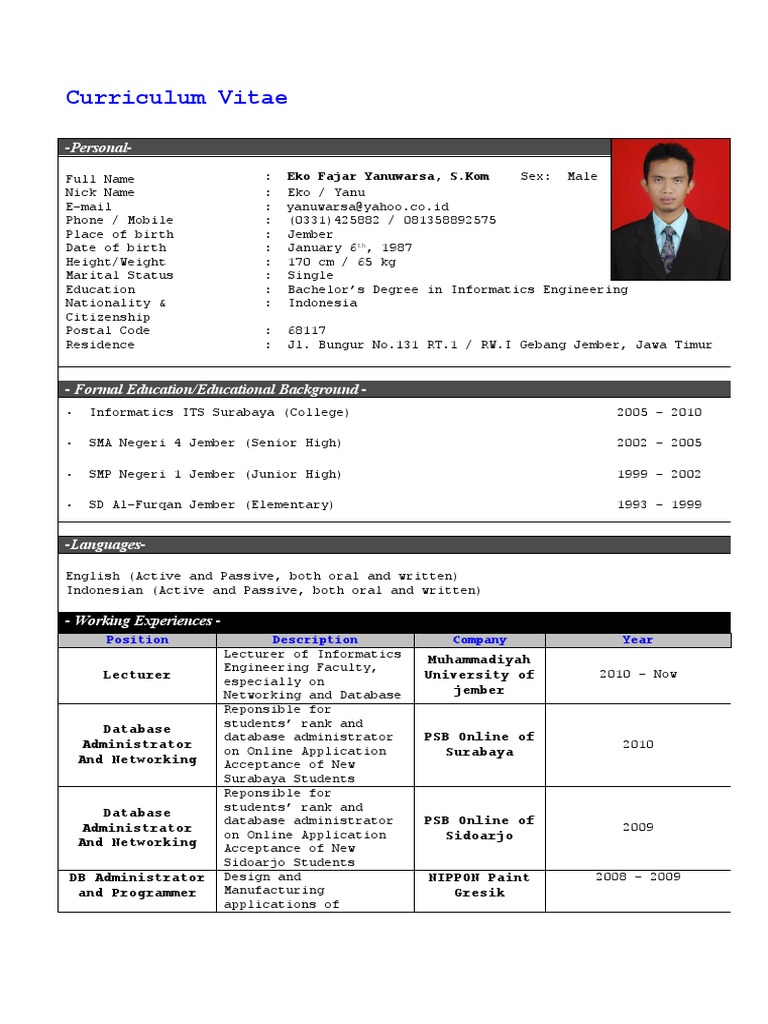 Curriculum Vitae | Download Free PDF | Computing | Software