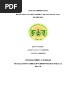 Peran dan Struktur Senyawa Fenolik | PDF