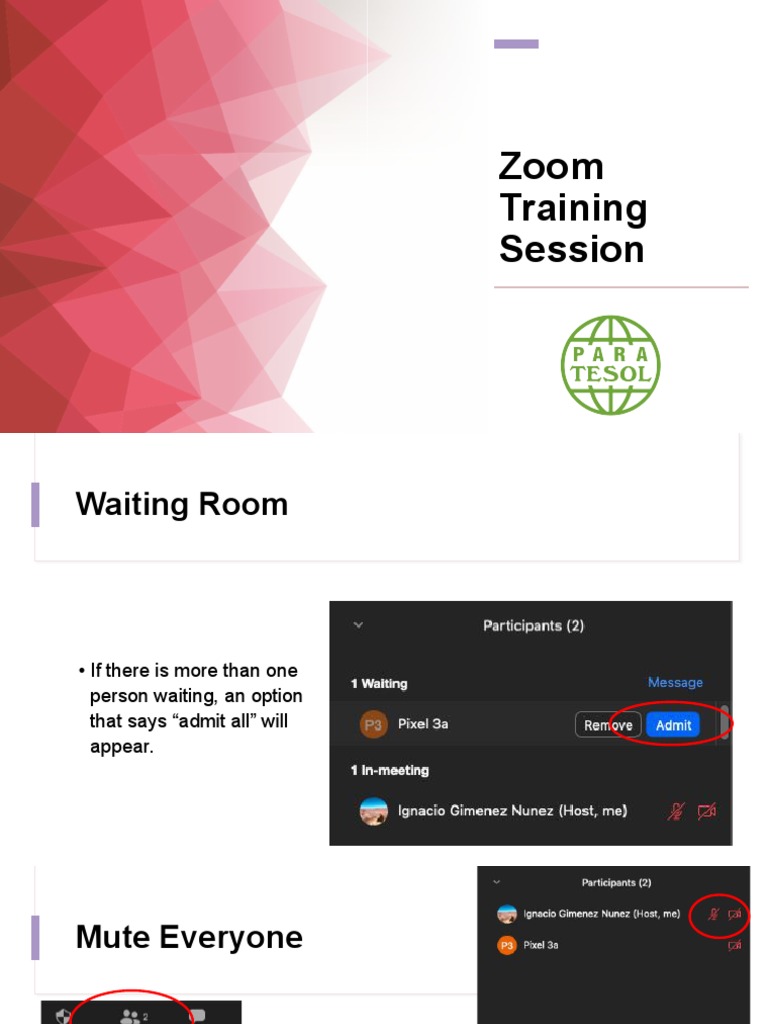 Zoom Training Session | PDF