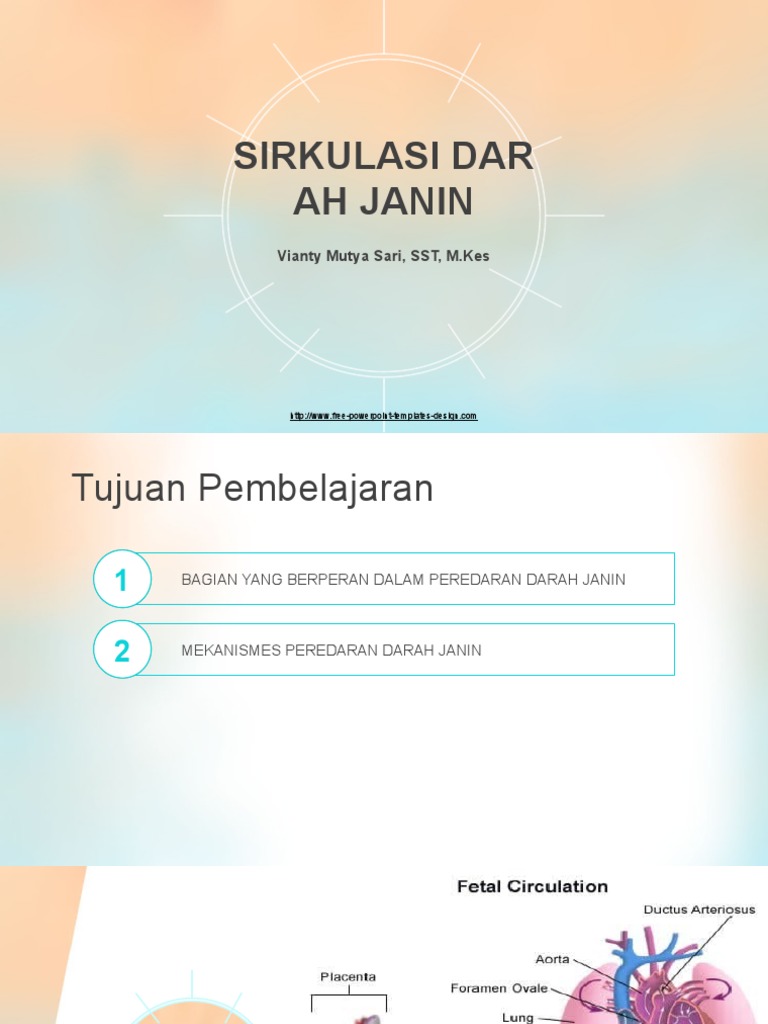 Sirkulasi Darah Janin | PDF