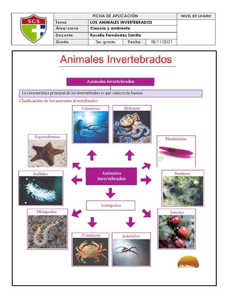 Ficha N°3 - Animales Invertebrados | PDF | Artes del Lenguaje y ...