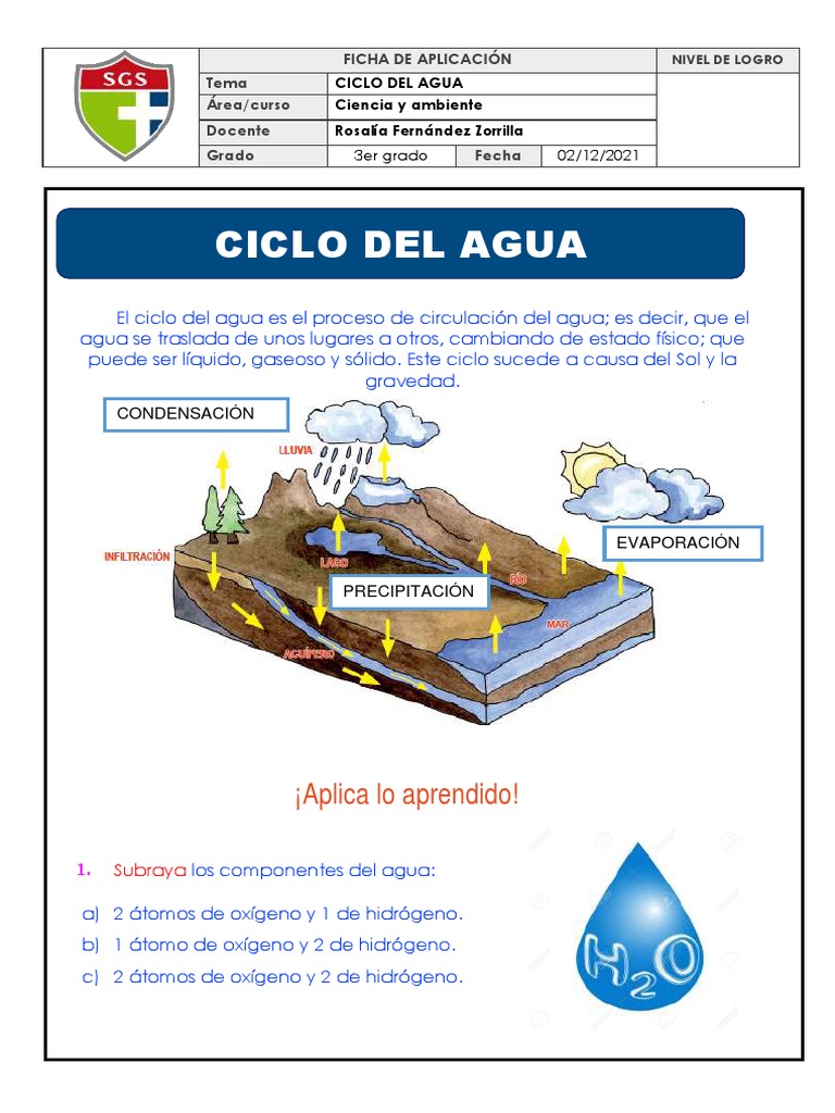 Ficha N°6 - Ciclo Del Agua | PDF