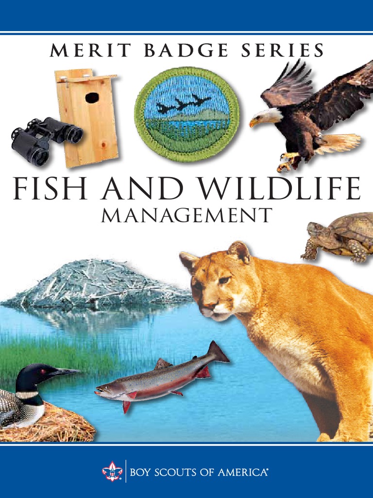 Fish and Wildlife Management | PDF | Wetland | Wildlife