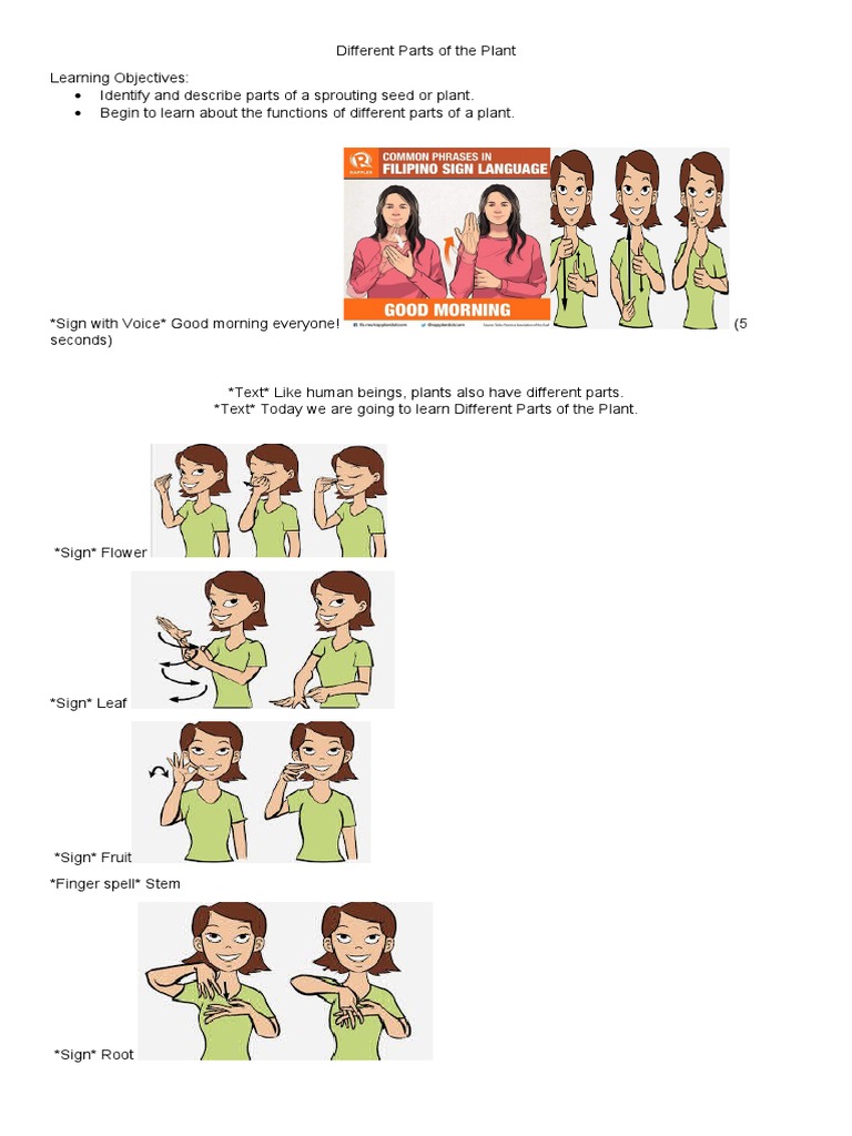 Different-Parts-of-the-Plant ASL | PDF