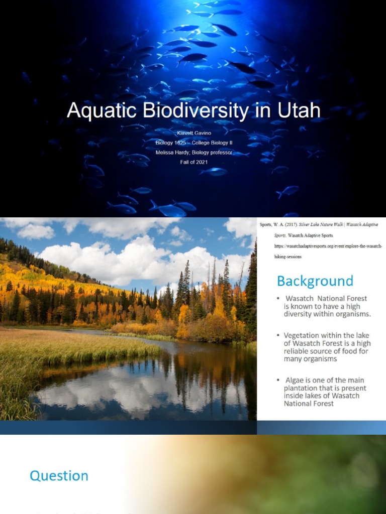 Utah Aquatic Biodiversity Study | PDF
