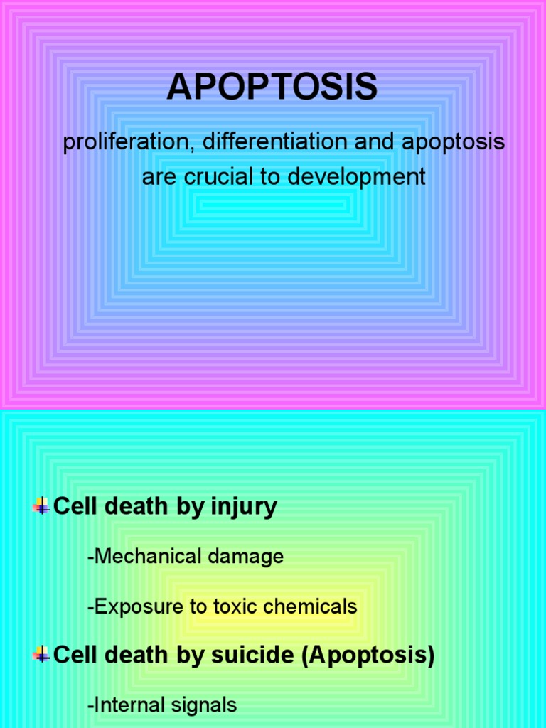 Apoptosis: Proliferation, Differentiation and Apoptosis Are Crucial To ...