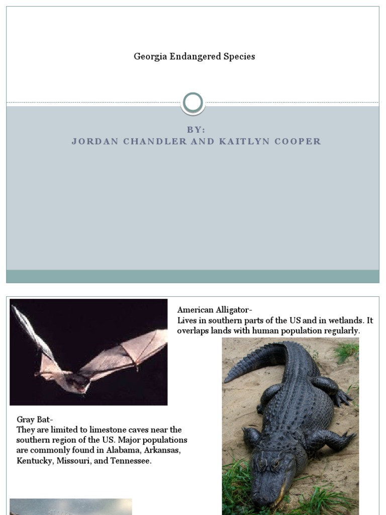 Endangered Species of Georgia | PDF | Endangered Species | Natural ...