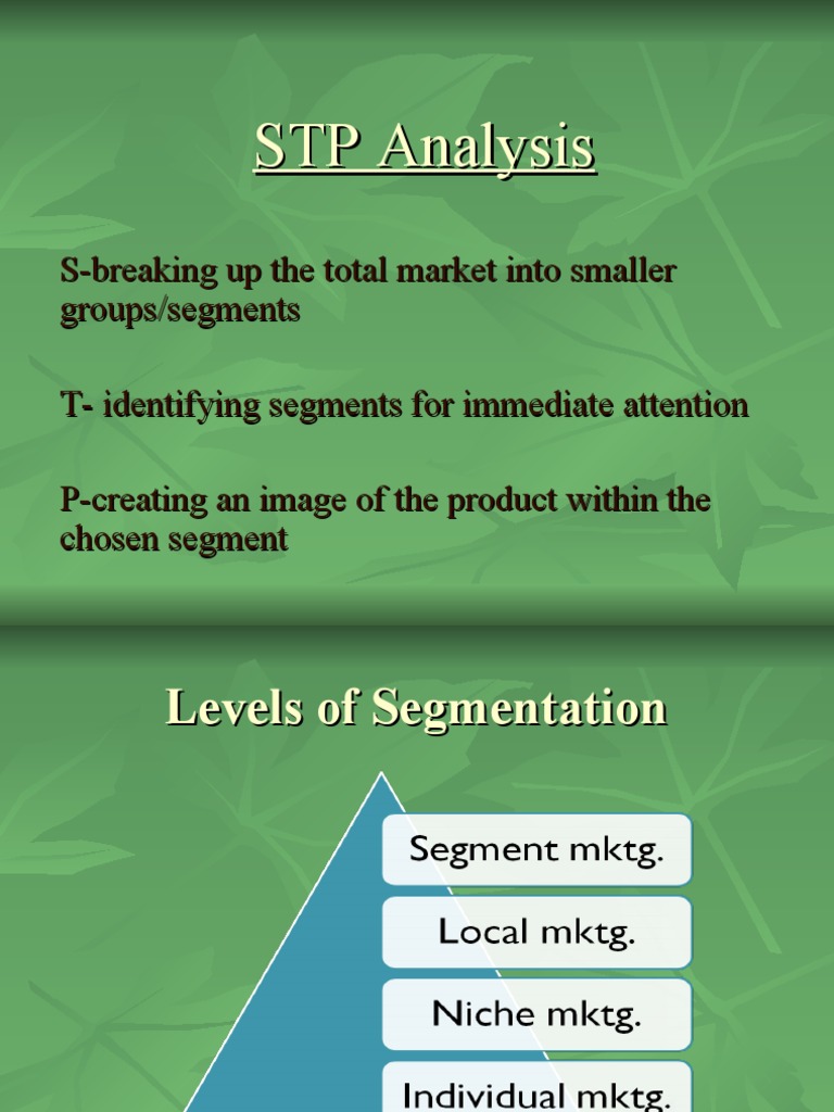 STP Marketing Analysis Overview | PDF | Marketing | Market Segmentation