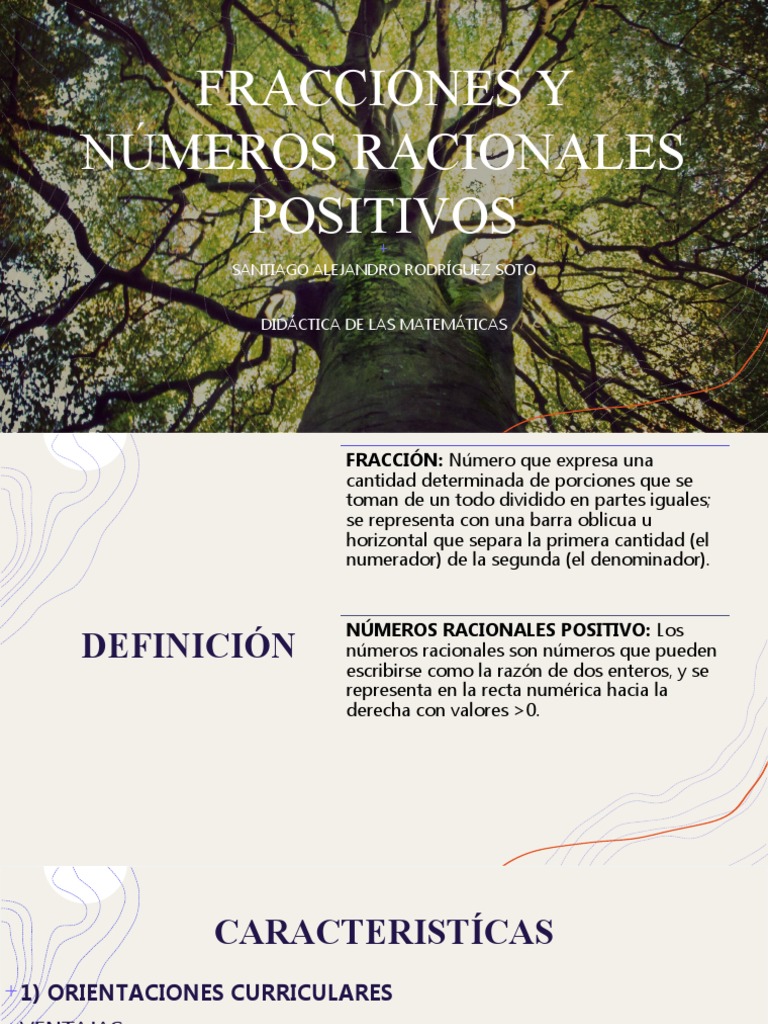 Fracciones y Números Racionales | PDF | Número racional | Matemática ...