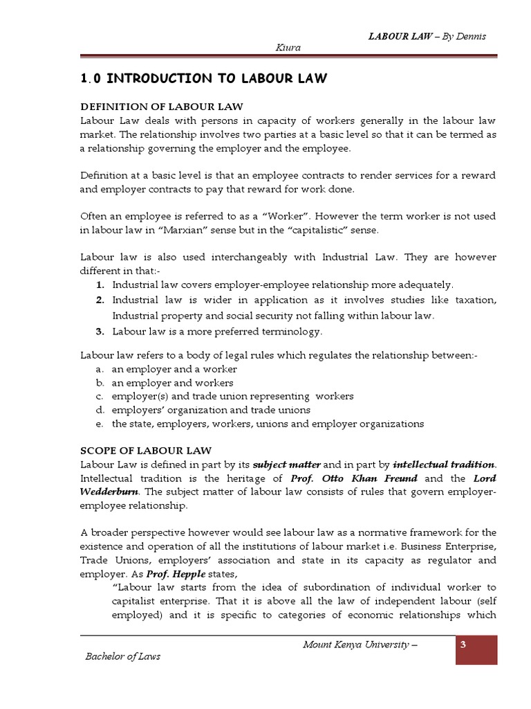 Understanding Labour Law Basics | PDF | Labour Law | Employment