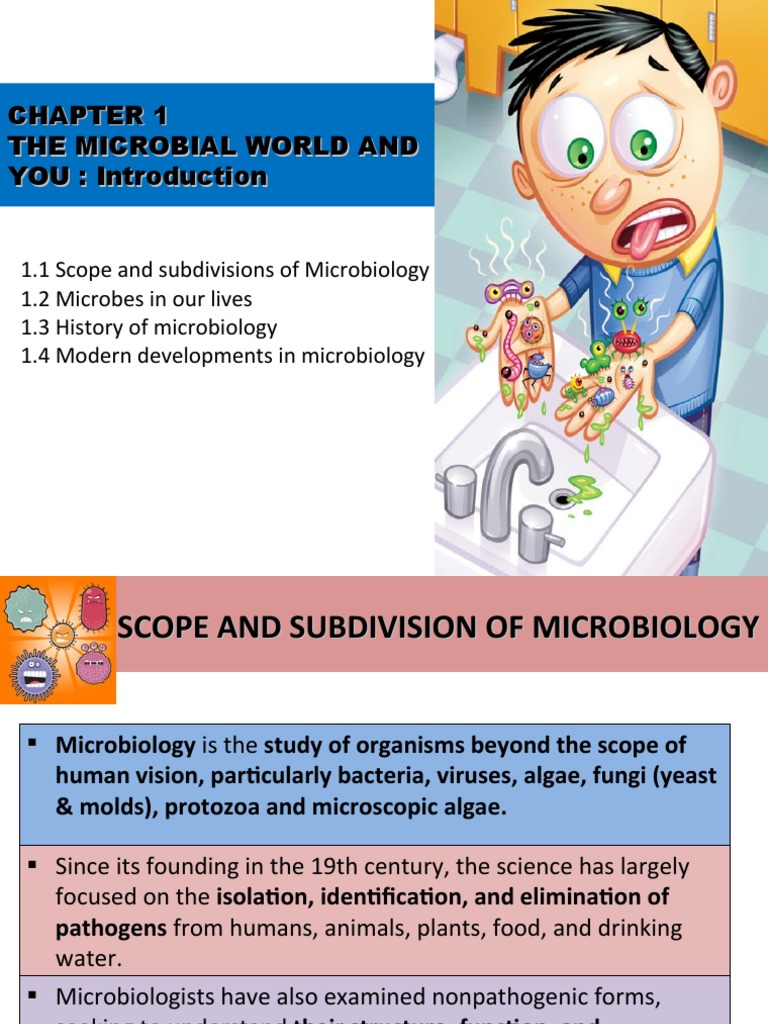 CHAPTER 1 BIO461 Mac2019 | PDF | Microorganism | Influenza