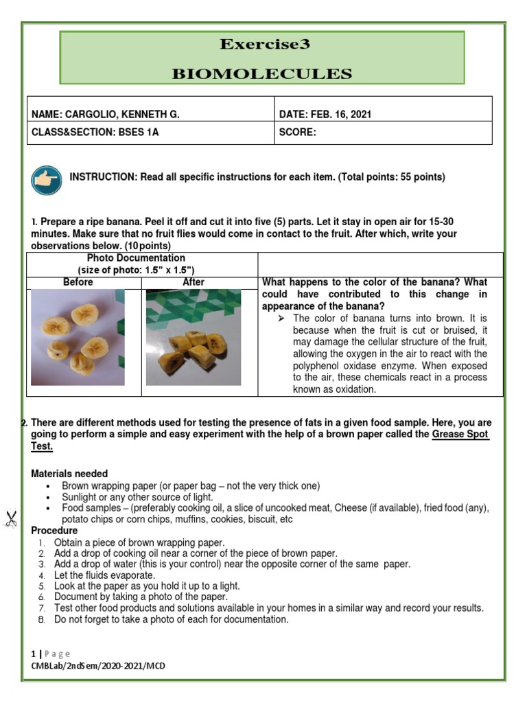 Bio 45.1 - Cargolio - Exercise 3. Biomolecules | PDF | Body Mass Index ...